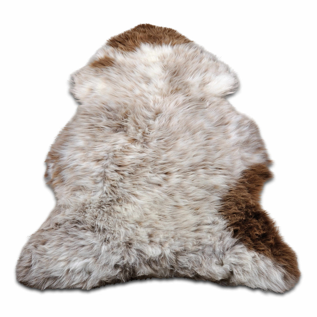 BASIC TEXEL SCHAPENVACHT BONT | philline